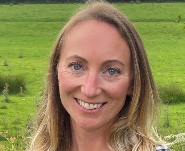 The Regional Directors | Stacks Property Search and Acquisition