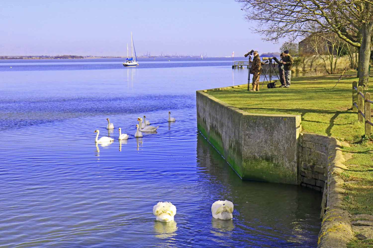 Manningtree / Mistley: Stacks Property Finders for Suffolk